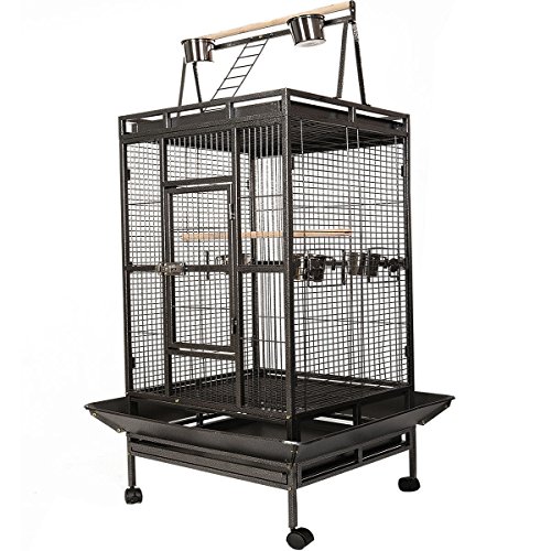 Top 5 Best Bird Cages 2025 - Amazon Parrot Cage - CuteParrots