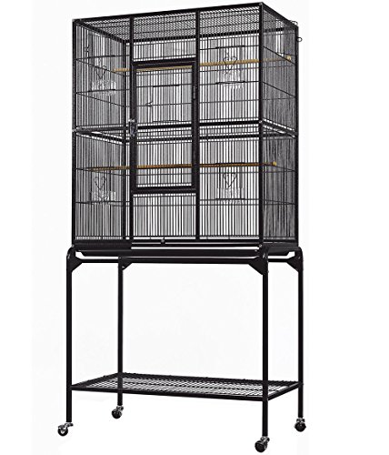 5 Best Cage for Parrotlet 2025 - Parrots Ideal Home - CuteParrots